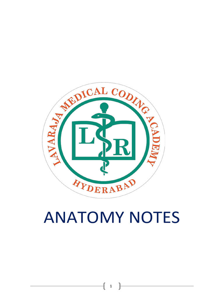 Erythromatic Anatomy Overview | PDF | Anatomical Terms Of Motion | Kidney