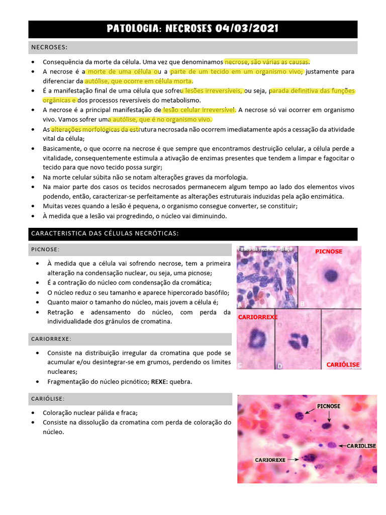 Entendendo a Necrose Celular: Causas e Tipos | PDF | Necrose | Inflamação