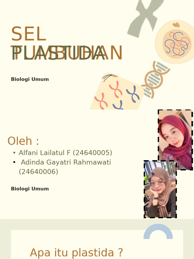 Ppt Plastida.pptx | PDF