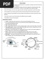 IGCSE 0610 - EYES Sense Organs NOTES (2023-2025) | PDF | Eye | Retina