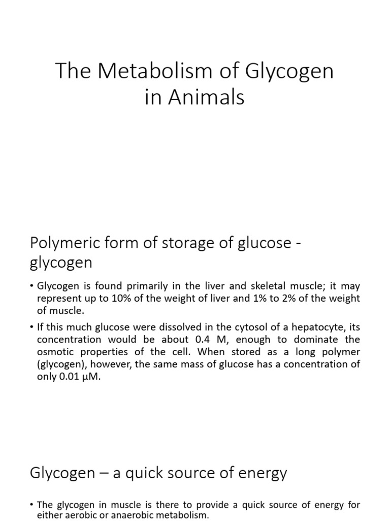 The Metabolism of Glycogen in Animals | PDF | Glycogen | Glucose