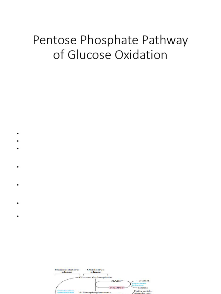 Pentose Phosphate Pathway Overview | PDF | Glycolysis | Nicotinamide ...