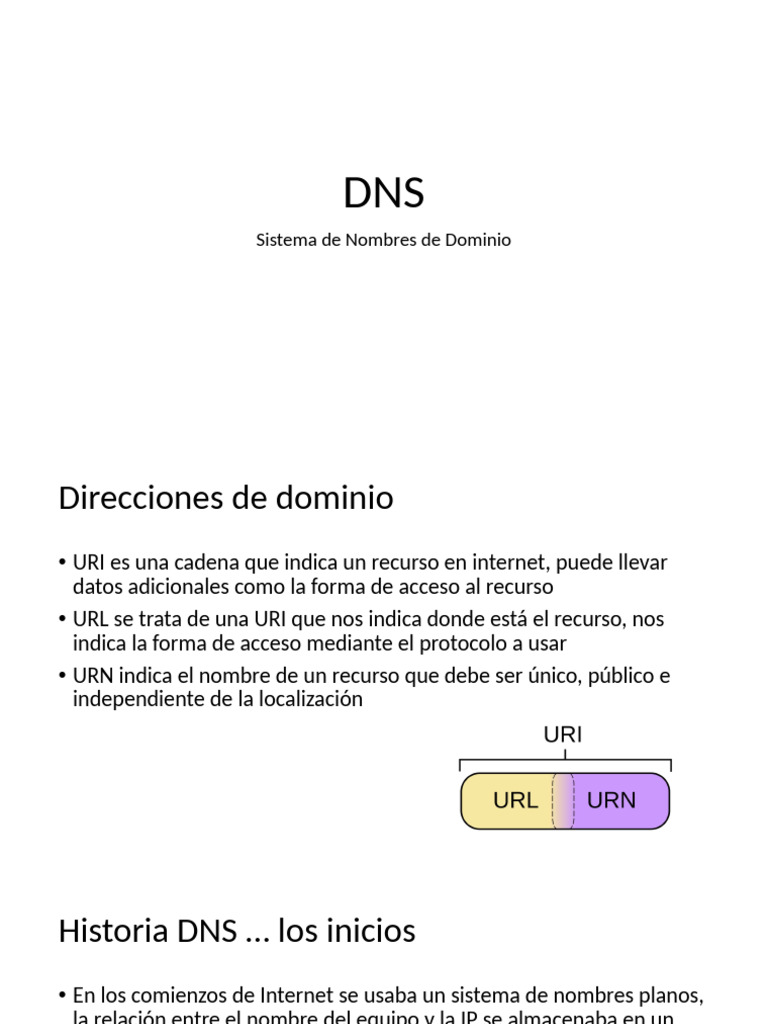 PROTOCOLO DNS | PDF | sistema de nombres de dominio | Protocolos de internet