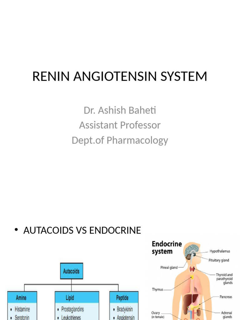 Raas | PDF | Angiotensin | Endocrine System