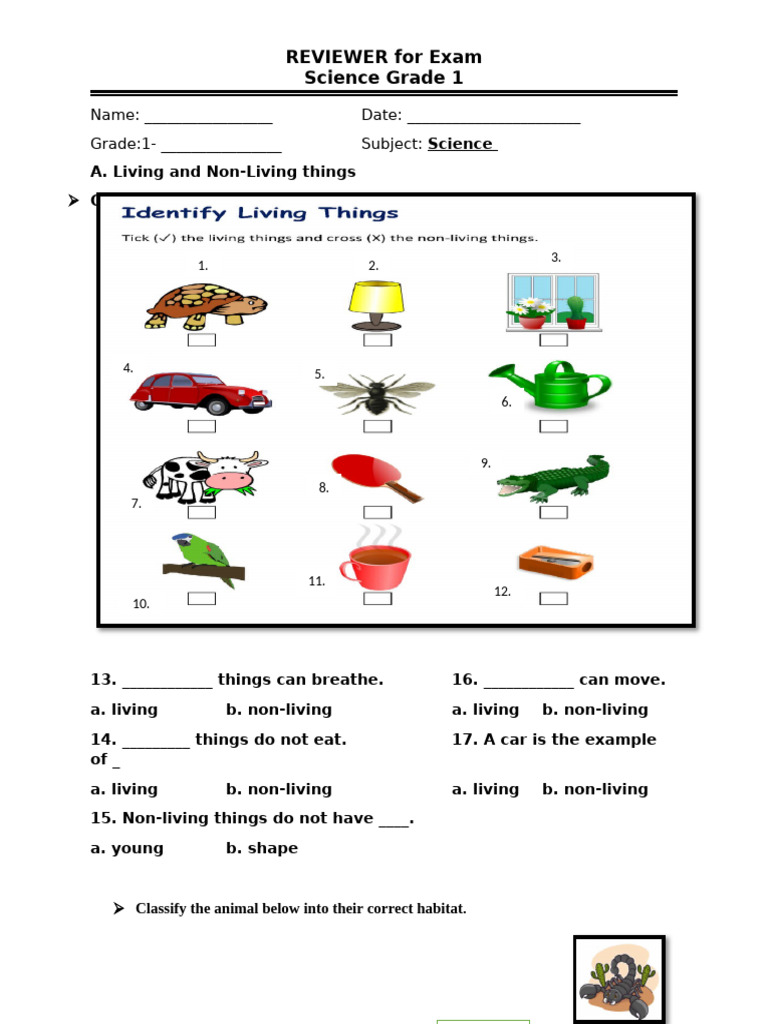 Grade 1 Science Exam Reviewer | PDF | Plants | Botany