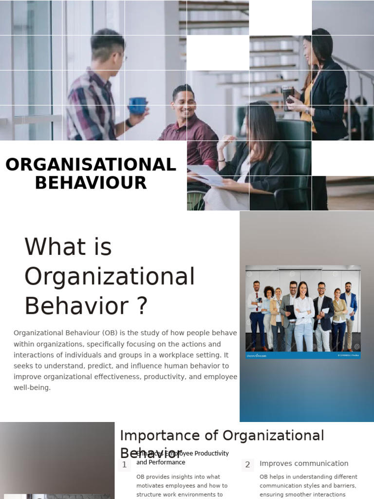 Organisational Behaviour | PDF | Motivational | Motivation