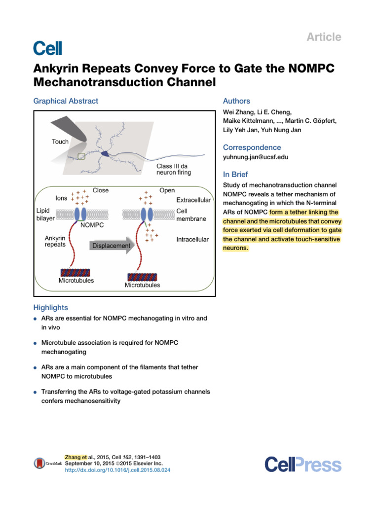 1.ankyrin Repeats Convey Force To Gate The NOMPC Mechanotransduction ...