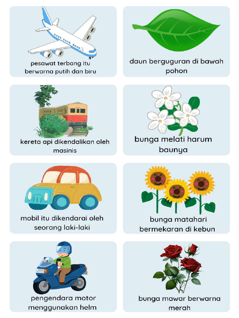 Flash Card | PDF