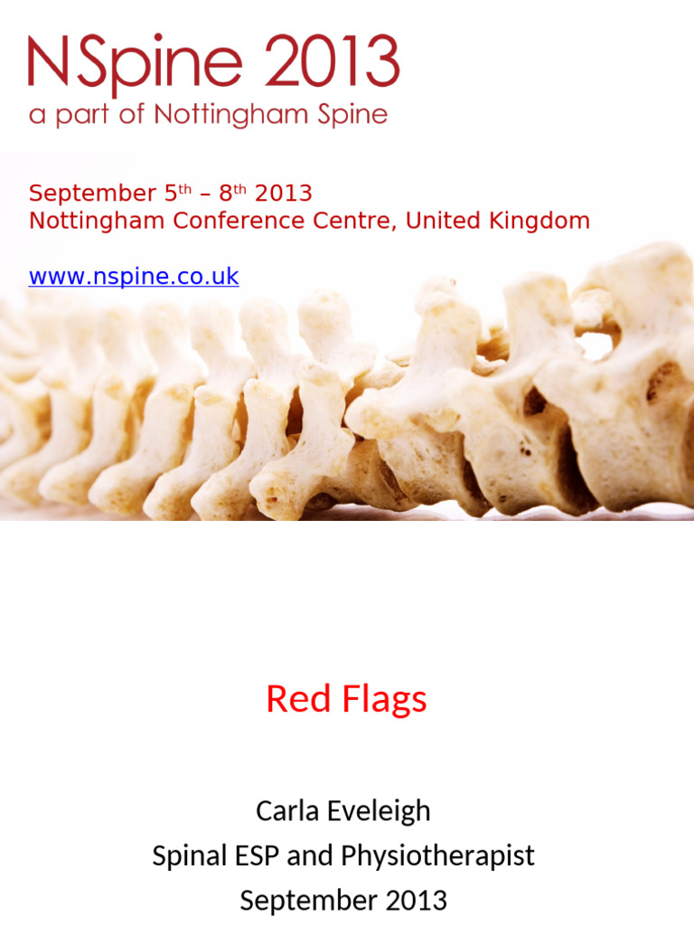 Red Flags 2013 | PDF | Pain | Nervous System