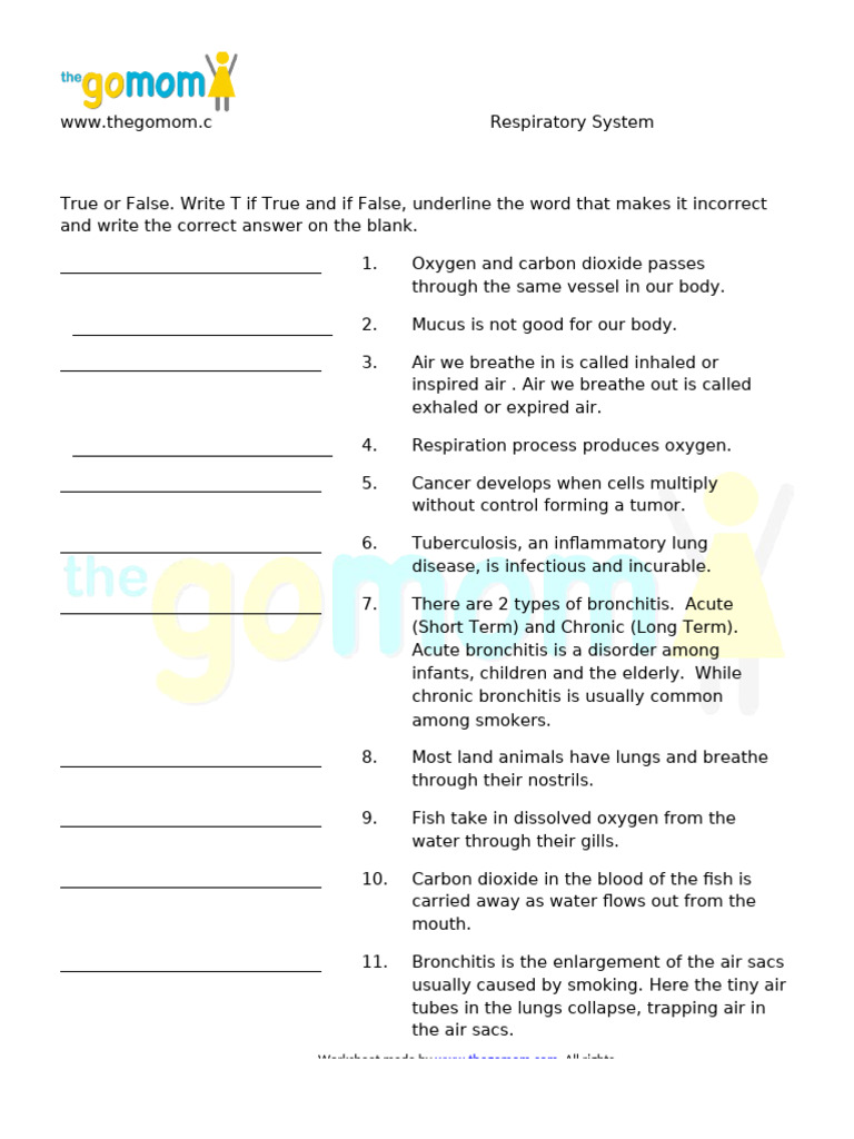 169102227-Respiratory-System-a-Grade-5(1) | PDF | Respiratory System ...