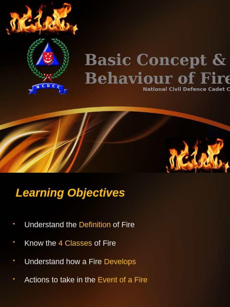 1 1 1 Basic Concept Behaviour of Fire | PDF | Fires | Combustion