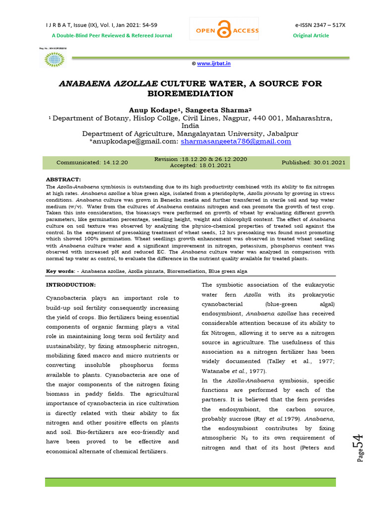 Anabaena azollae culture water, a source for Bioremediation | PDF ...