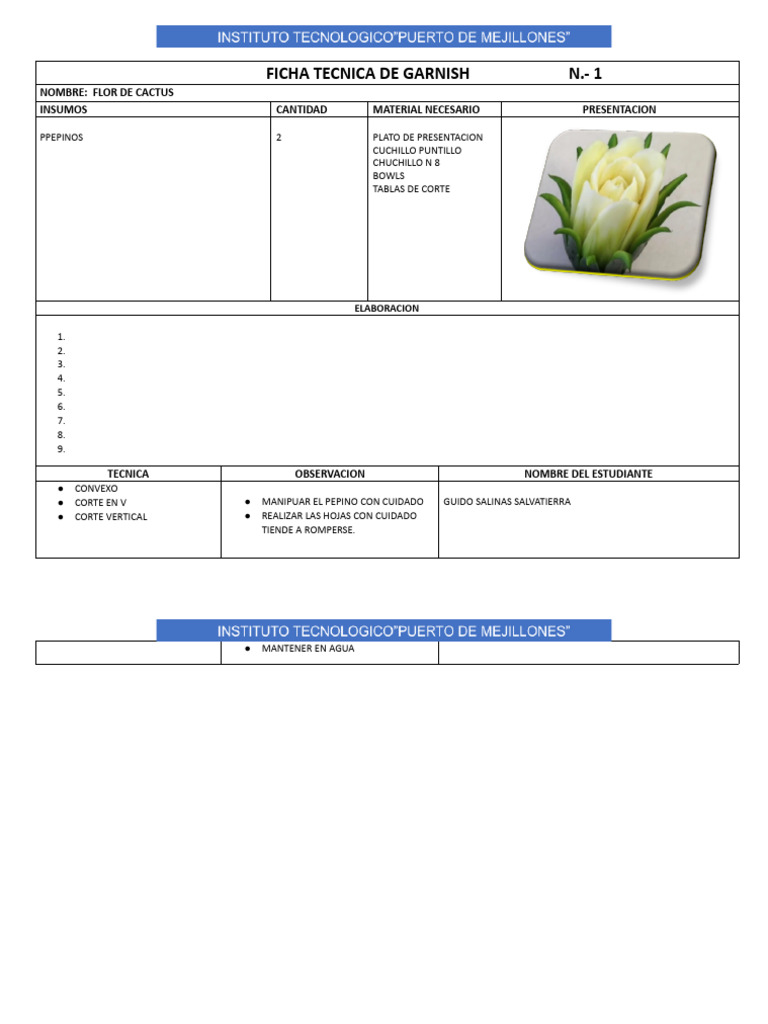 Fichas Tecnicas de Garnisch | PDF