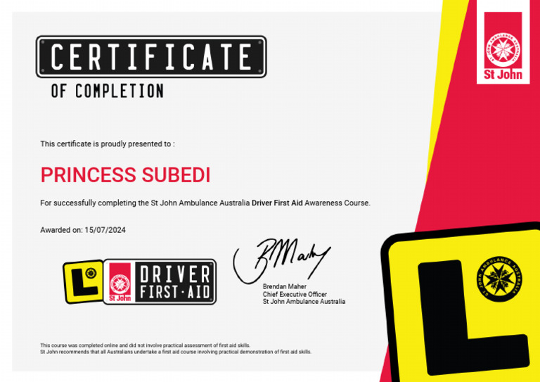 Driver First Aid Certificate | PDF