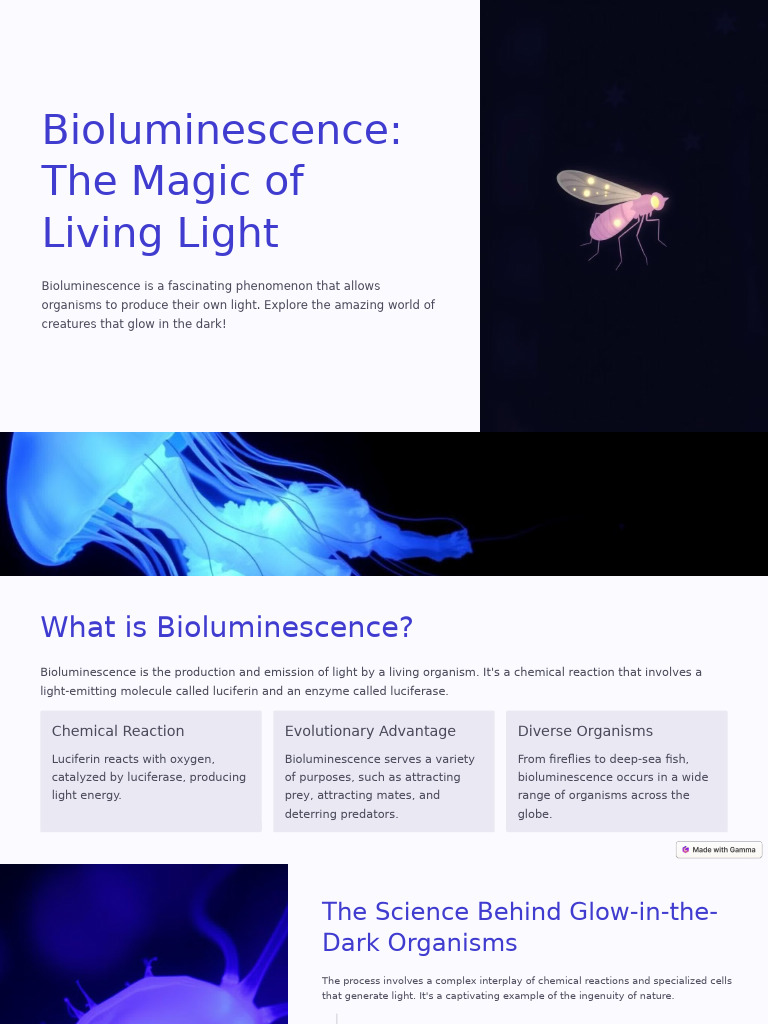 Bioluminescence The Magic of Living Light | PDF | Luciferase | Biology
