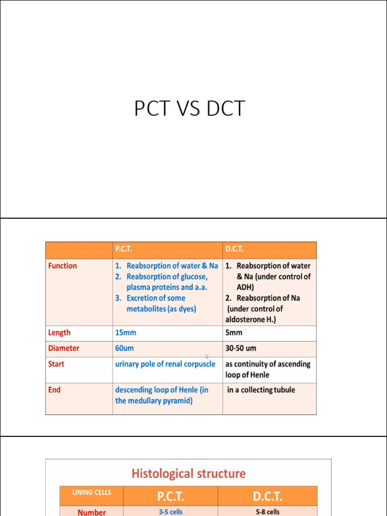 Presentation 1 | PDF