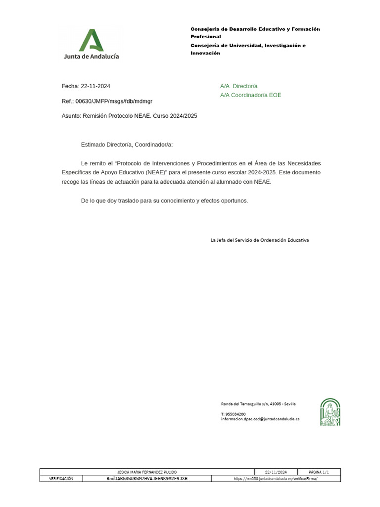 Protocolo Neae 2024-2025 | PDF | Sevilla | Evaluación