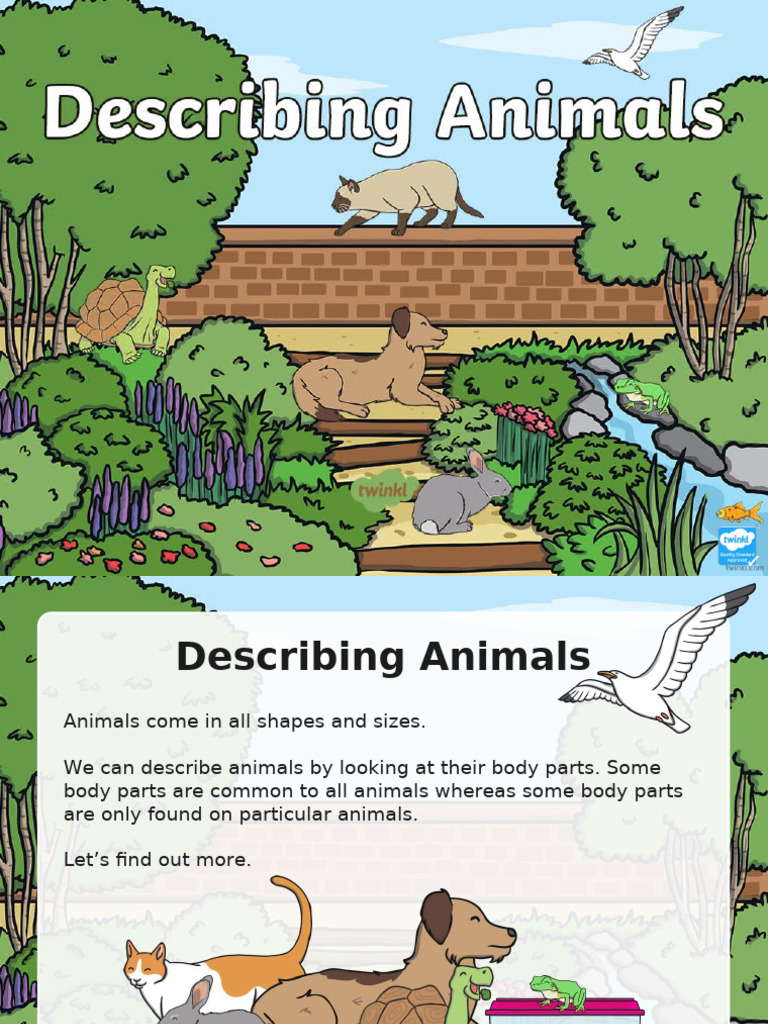 Describing Animals for Kids | PDF | Cats | Frog