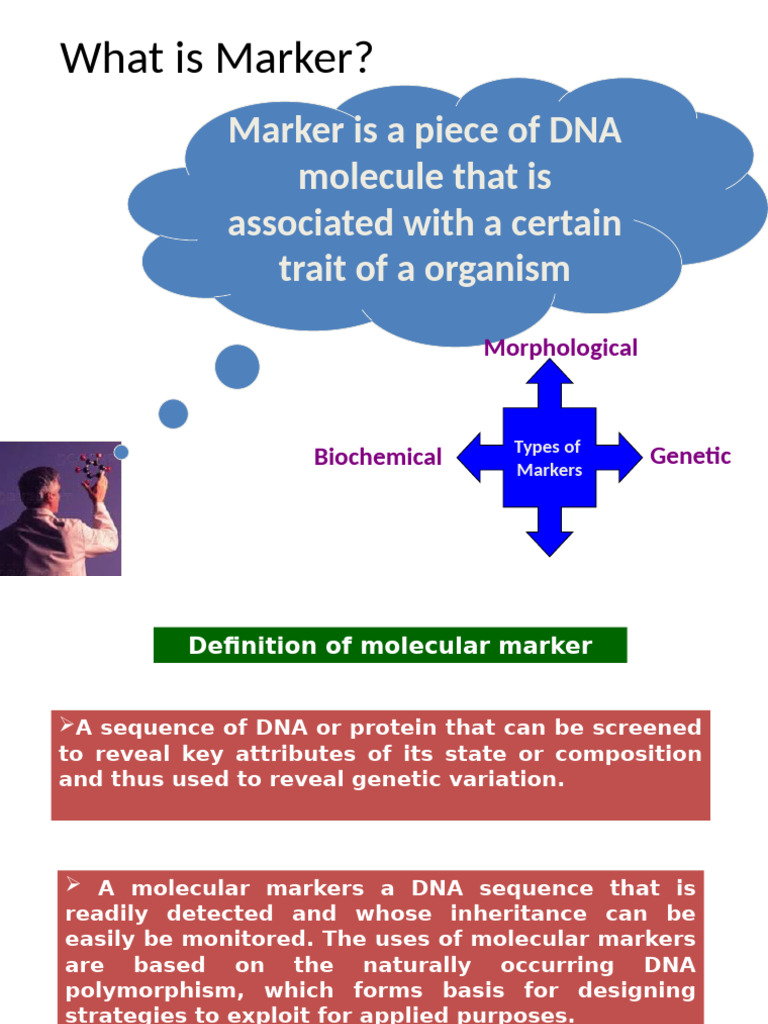 Understanding Molecular Markers in Genetics | PDF | Microsatellite ...