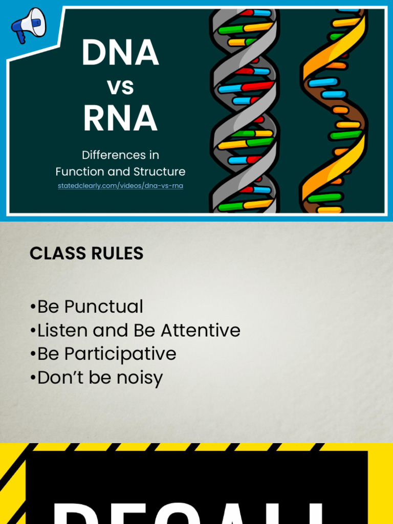 DNA-and-RNA-ppt | PDF | Rna | Dna