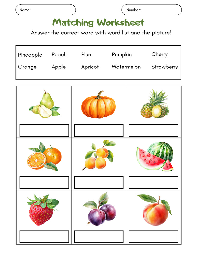 Matching Fruit Worksheet in Colorful Illustrative Style .pdf | PDF