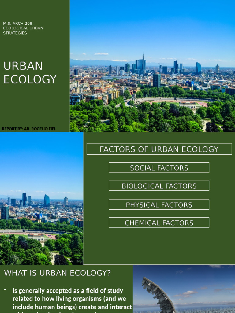 Urban Ecology: Strategies for Sustainability | PDF