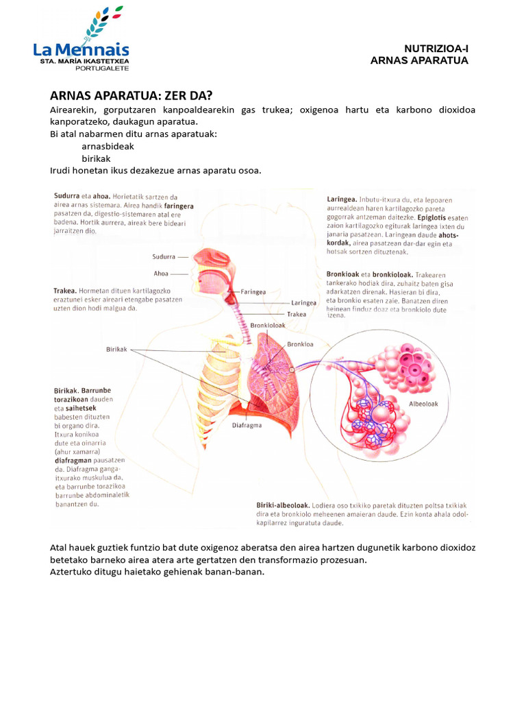 022 Arnas Aparatua (Teoria) | PDF