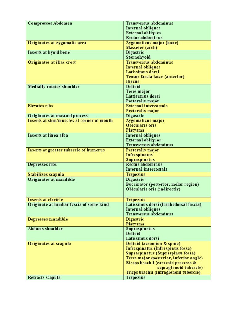 MUSCLE CHART | PDF | Anatomical Terms Of Motion | Shoulder