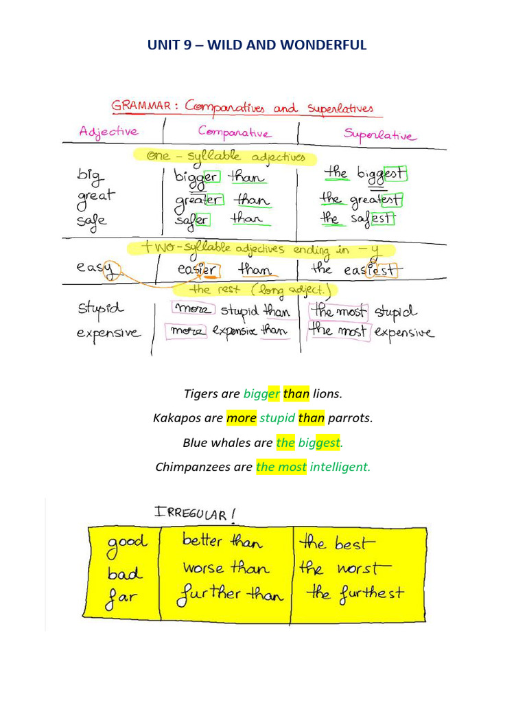 UNIT 9 Grammar | PDF