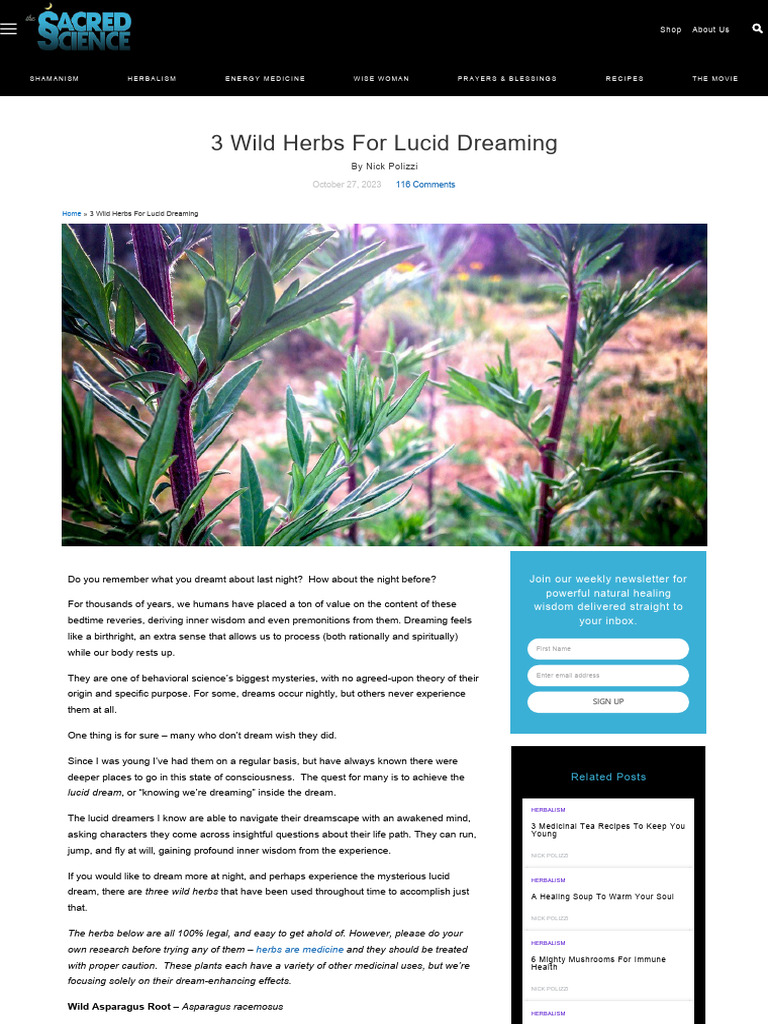 3 Wild Herbs For Lucid Dreaming - The Sacred Science | PDF | Dream ...