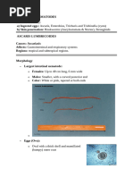 Parasite Ova and Cyst Identification Chart | PDF | Egg