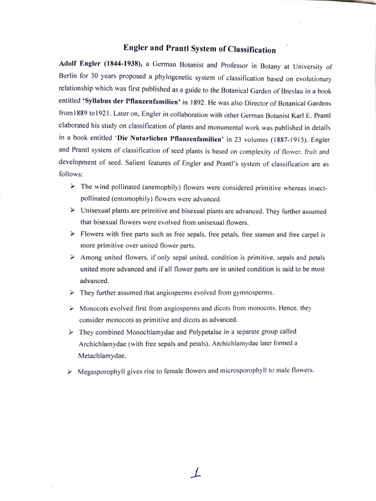 Engler and Prantl System of Classification | PDF | Flowers | Botany