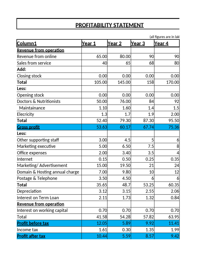 pnl new | PDF | Revenue | Taxes