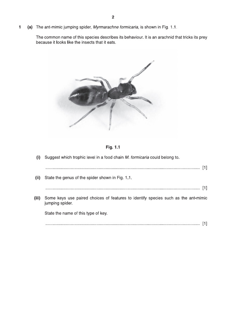 Classification Q7 | PDF