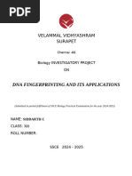 Dna Fingerprinting Investigatory Project 2024-25 Class-12 | PDF | Gel ...