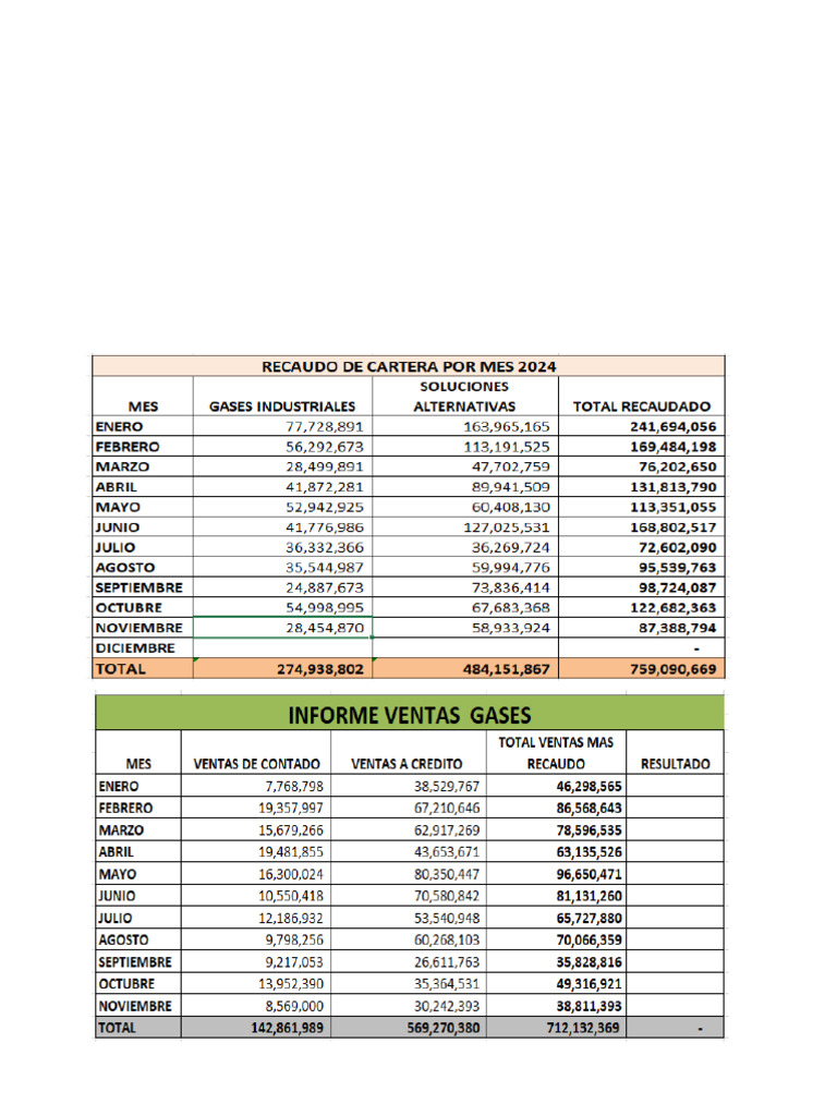 INFORME DE GESTION Mishell 2024 | PDF