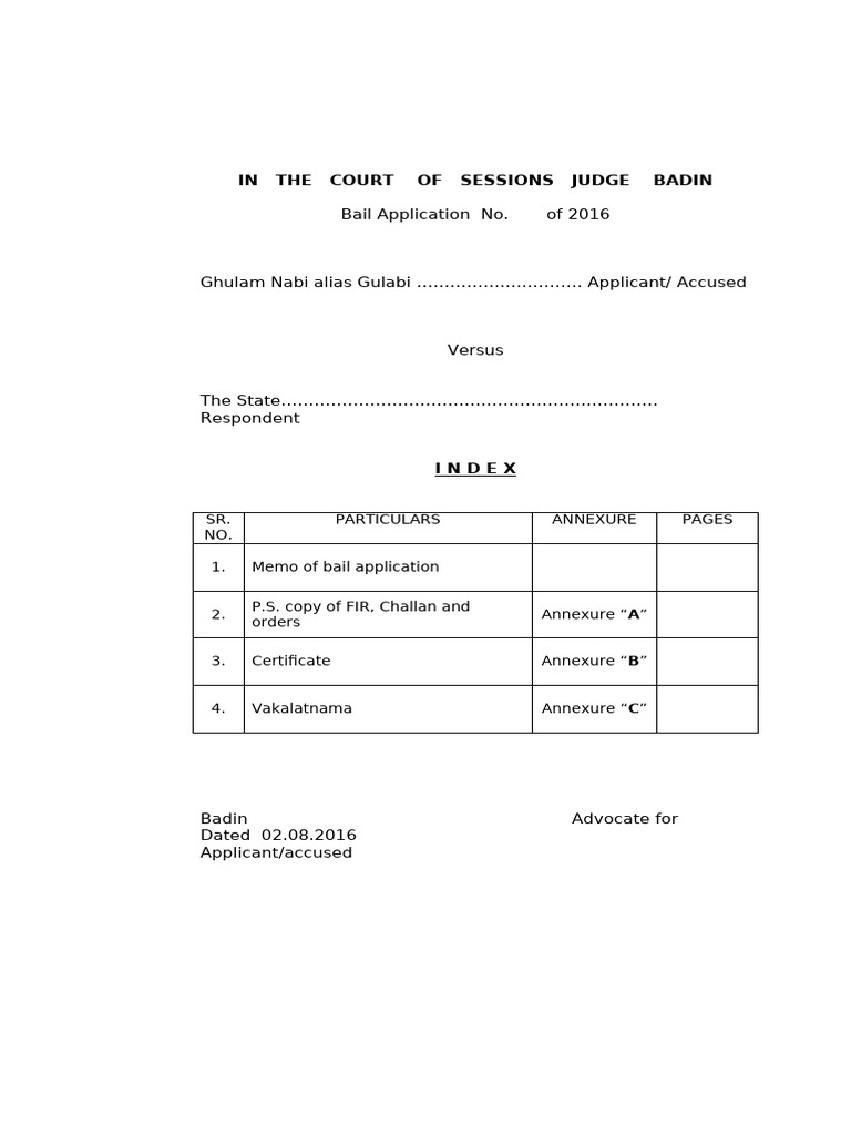 Murder Case Bail Application | PDF | Bail | Criminal Justice