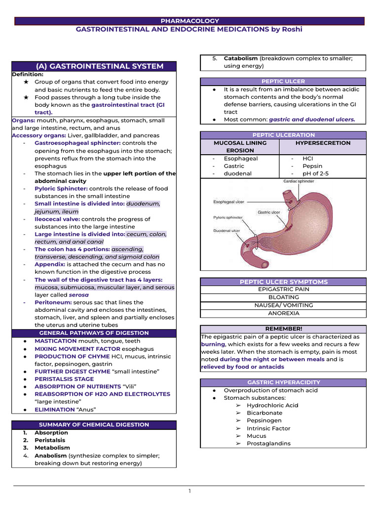Gi and Endo Medications | PDF | Stomach | Human Digestive System