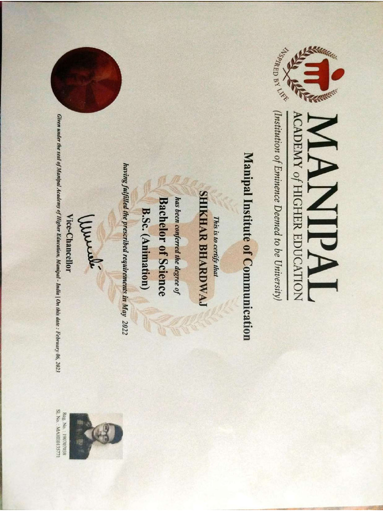 University Degree | PDF