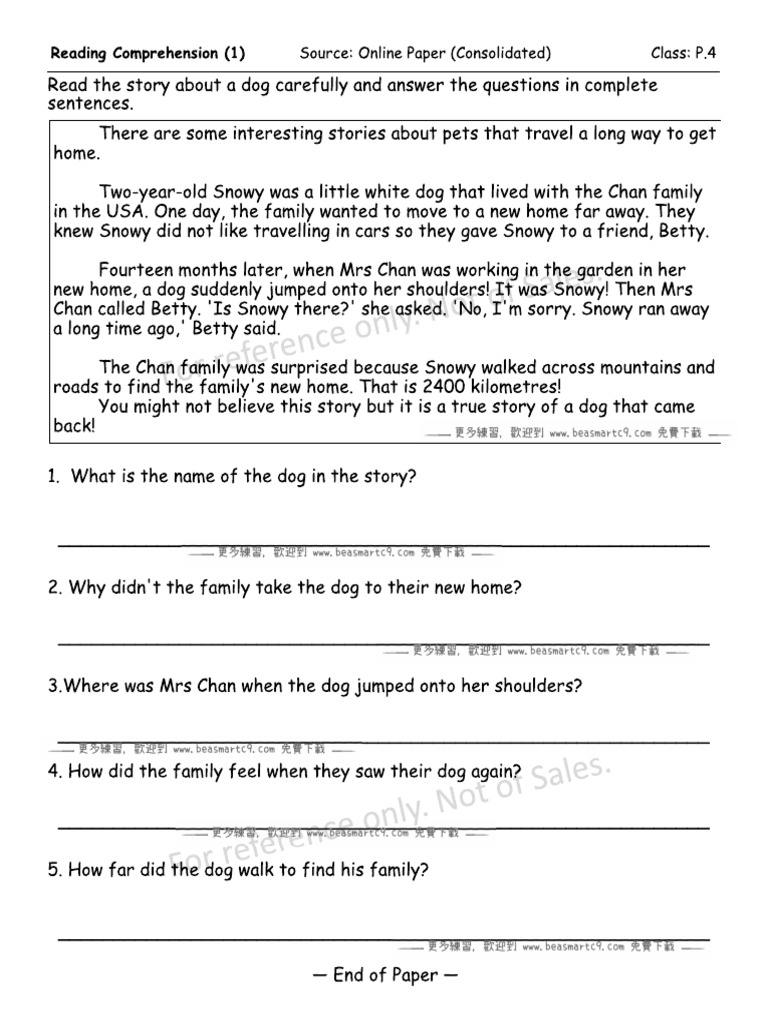 01-06 P4 Reading Comprehension | PDF