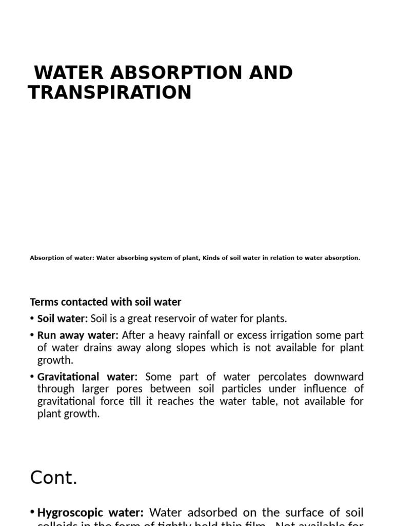 Lecture 4 Plant Physiology | PDF | Stoma | Leaf