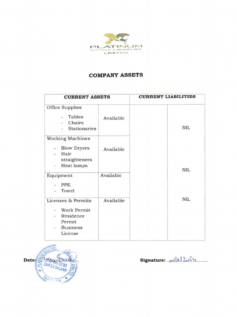Company Assets | PDF