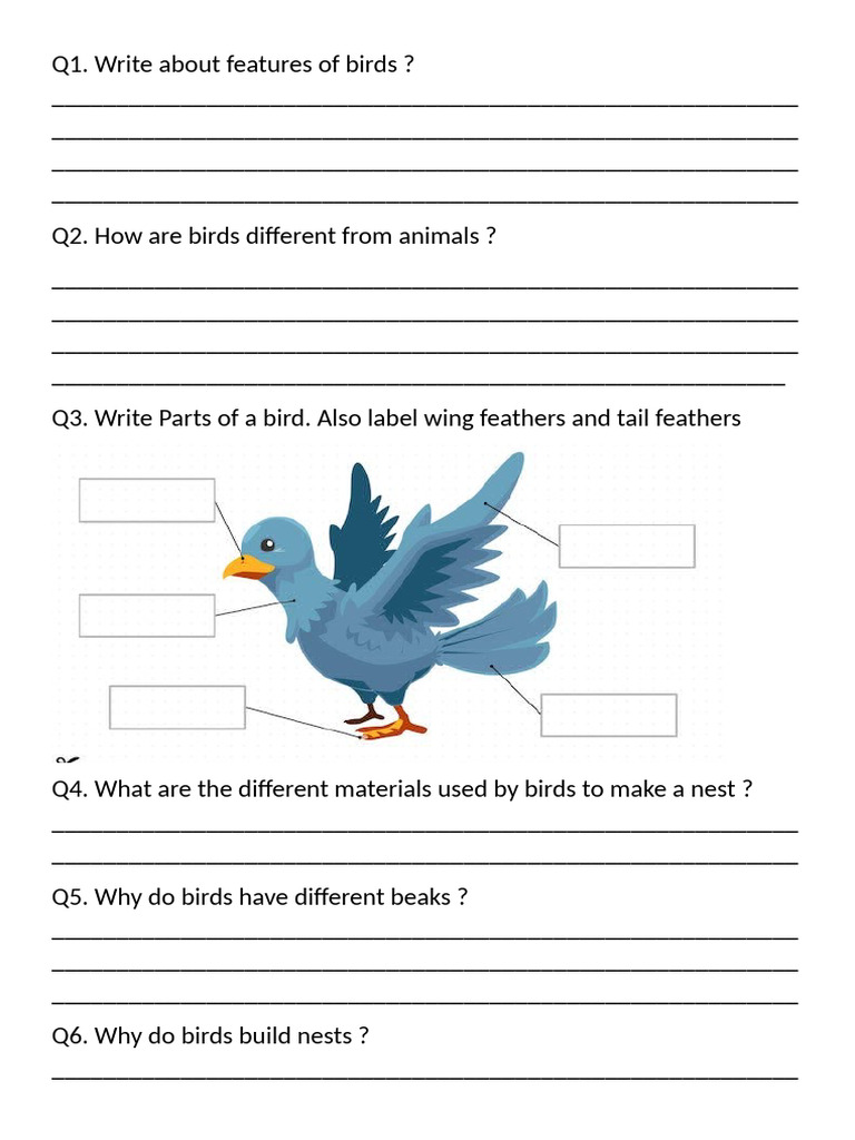 birds | PDF | Birds | Beak