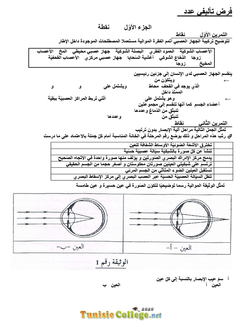 Devoir de Synthèse N°1 - SVT - 9ème (2019-2020) MR Tounsi Anas | PDF