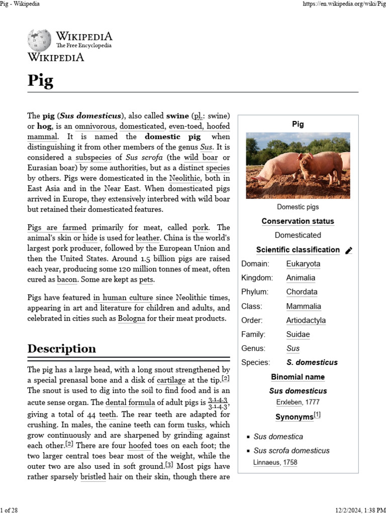 Pig | PDF | Pig