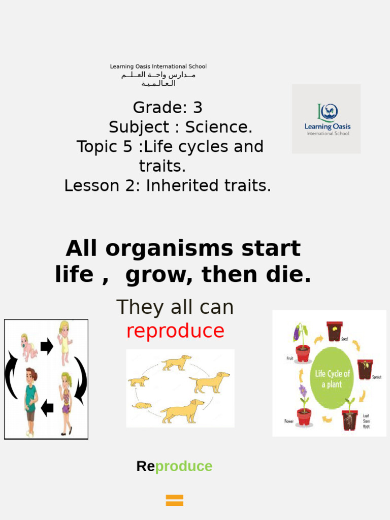 Topic 5 Lesson 2 Summary Sheet | PDF | Cats | Hair