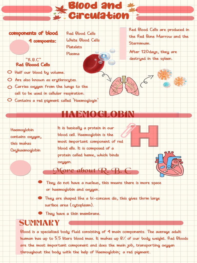 Blood and Circulation: CLASS NOTE | PDF