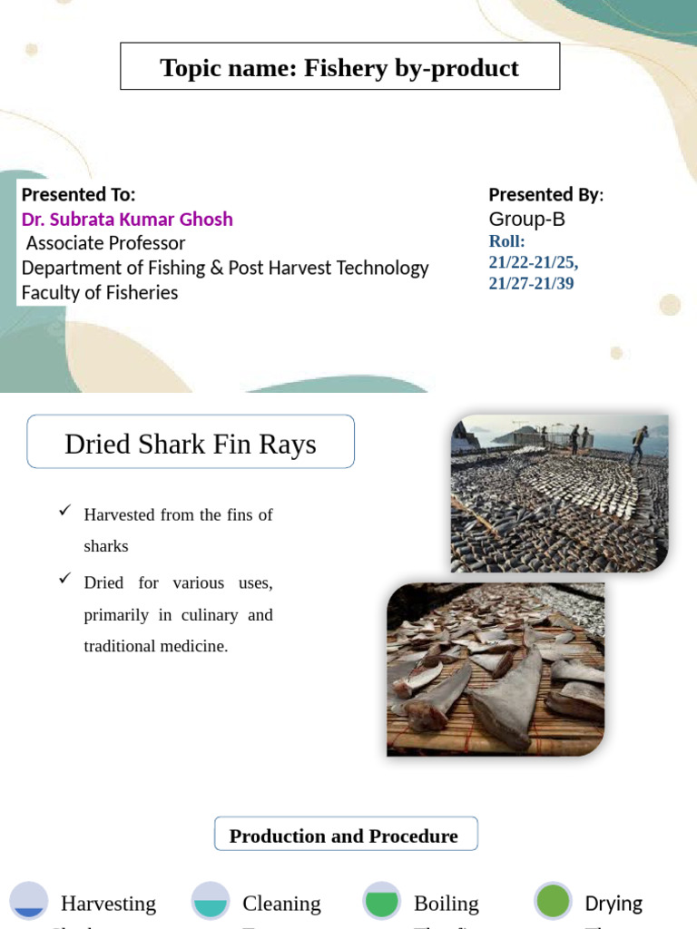 Dried Shark Fin Rays | PDF | Insulin | Sharks