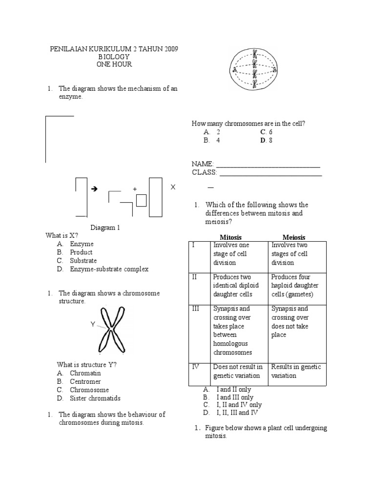 Biology Curriculum Assessment 2009 | PDF | Meiosis | Mitosis