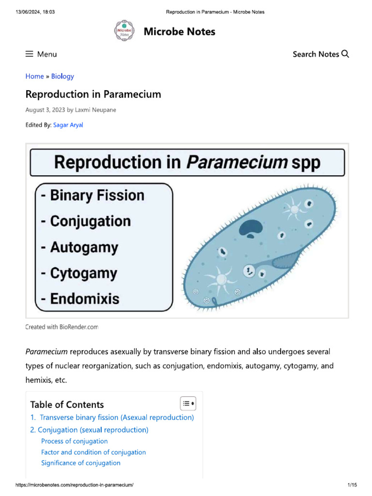 Reproduction in Paramecium | PDF